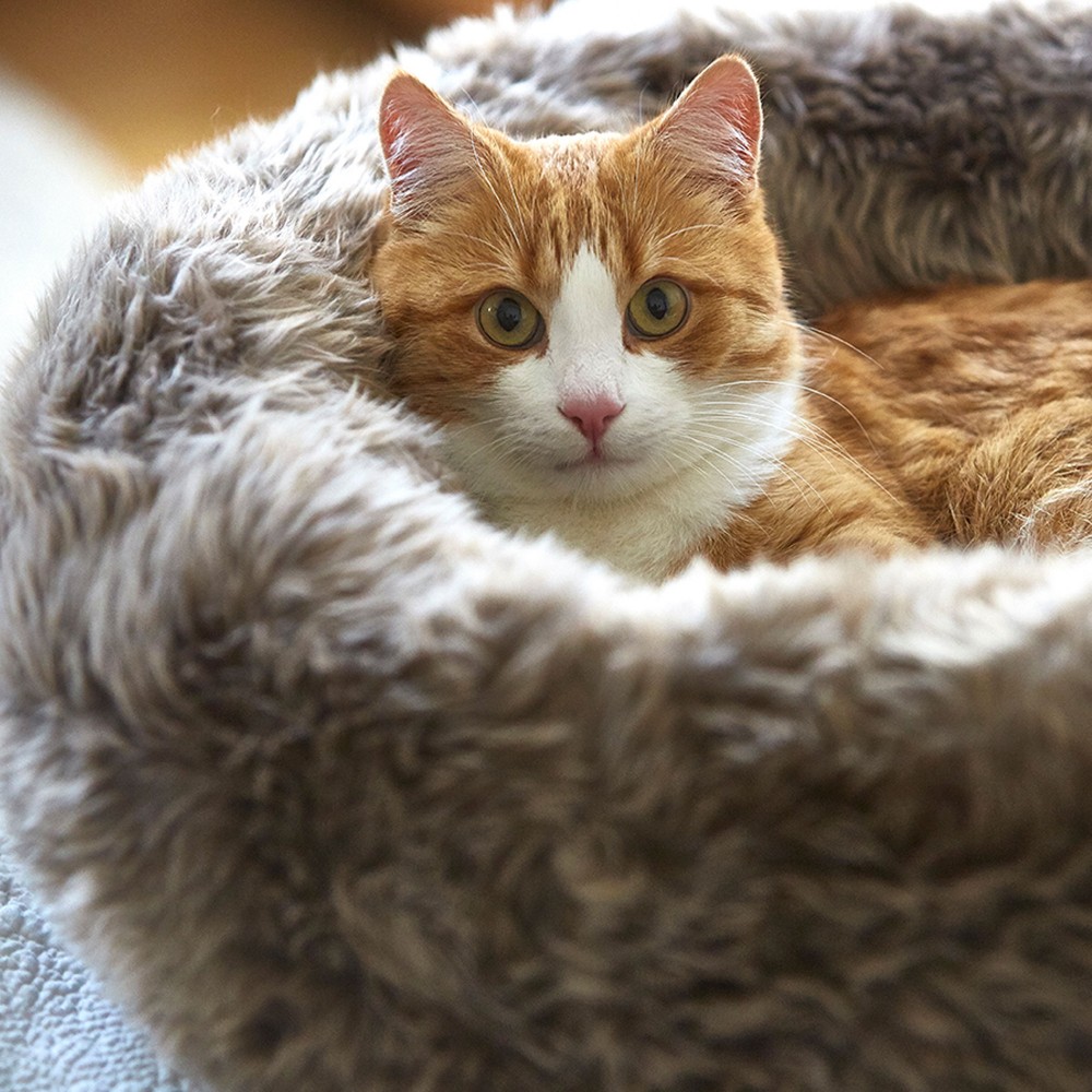 Coussin apaisant chat à poil mi-long taupe, MiaCara Lana - Bagane
