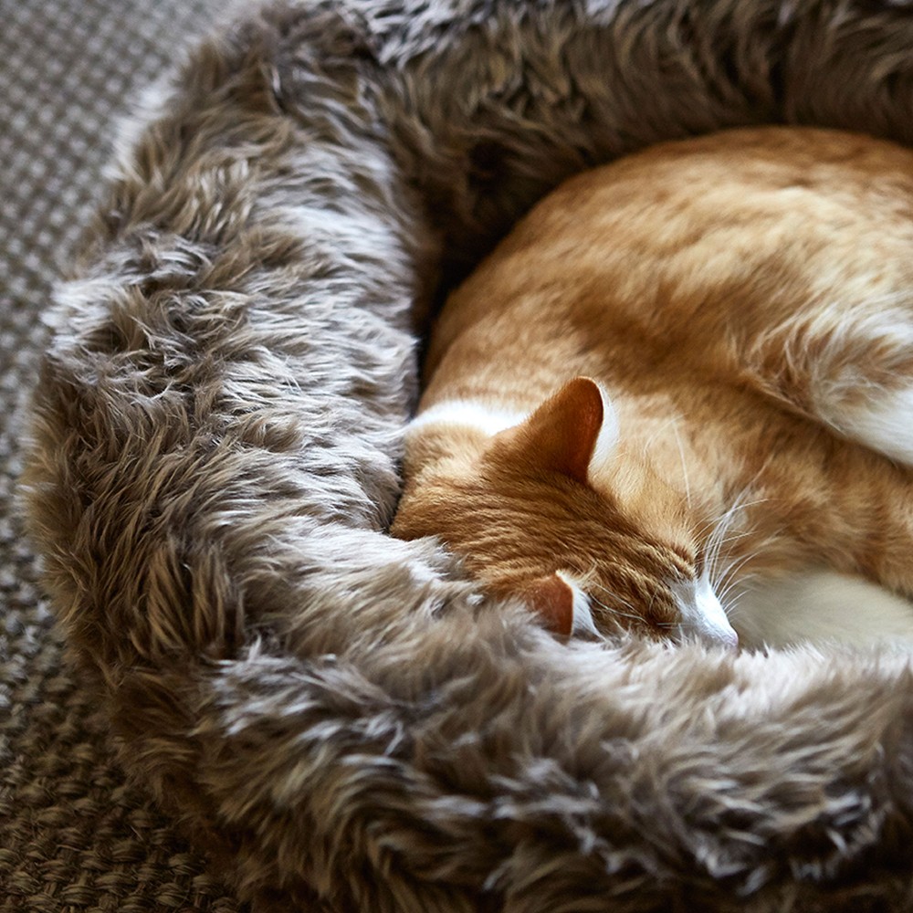 Coussin apaisant chat à poil mi-long taupe, MiaCara Lana - Bagane