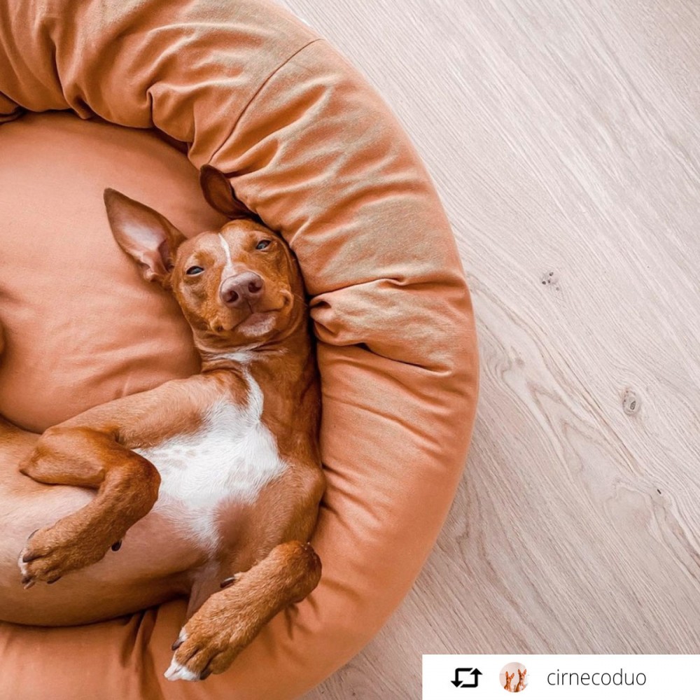 Coussin rond donut pour chien, en coton bio camel, Hygge - Bagane