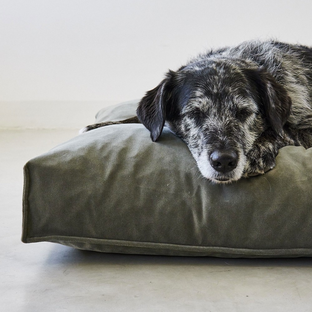 Coussin chien luxe tissu velours vert sauge, MiaCara Velluto - Bagane